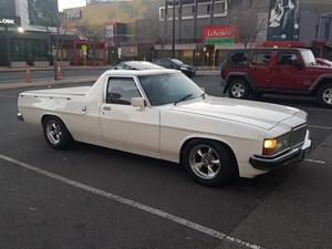 1984 Holden WB Ute – Today’s Tempter