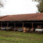 Gallery: The Baillon Collection 'barn find'