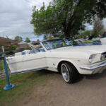 Graysonline classic auction preview - video + gallery